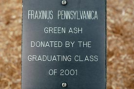 Class of 2001 | Alumni | University of Waterloo