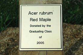 Class of 2005 | Alumni | University of Waterloo