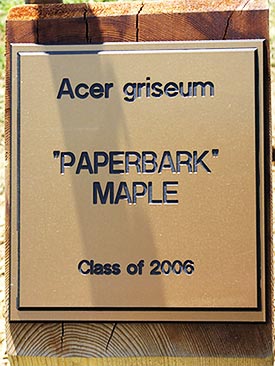 Class of 2006 | Alumni | University of Waterloo