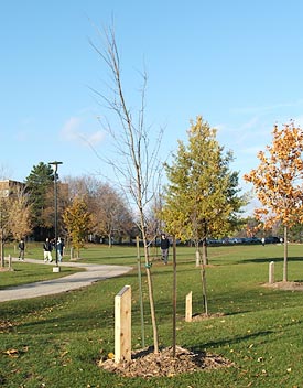 Class of 1979 | Alumni | University of Waterloo