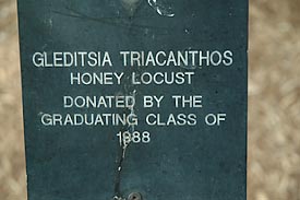 Class of 1988 | Alumni | University of Waterloo