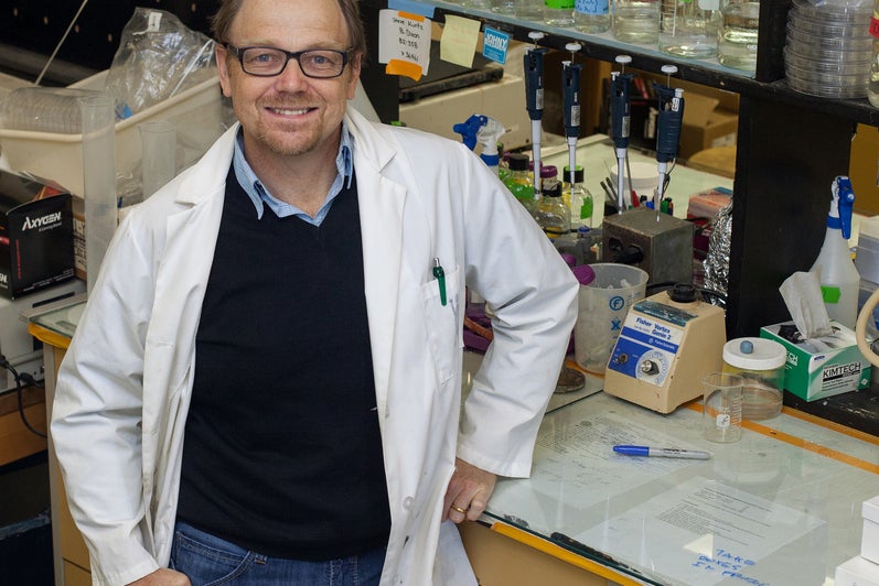 Inflammatory Diseases | Centre for Bioengineering and Biotechnology ...