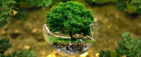 Environment, Resources and Sustainability | School of Environment ...