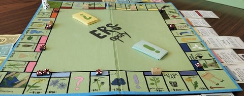 Environment, Resources and Sustainability | School of Environment ...