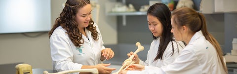 Discover Waterloo's programs | Undergraduate Programs | University of ...