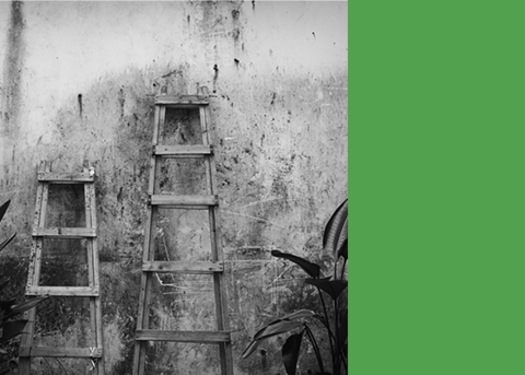 Courses | Gender and Social Justice