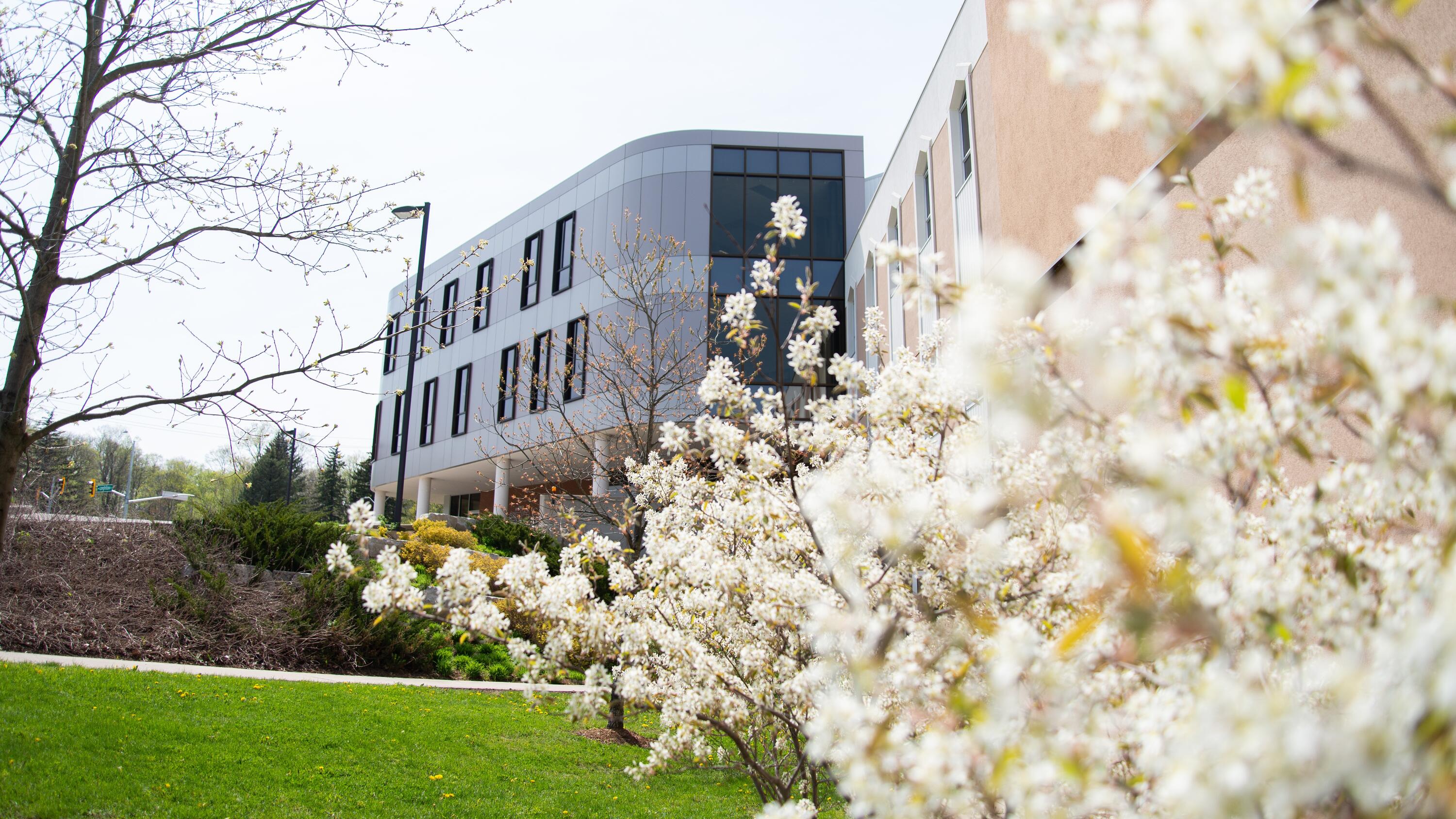 Garden Is a Symbol of Faith and Hope | Grebel Now | University of Waterloo
