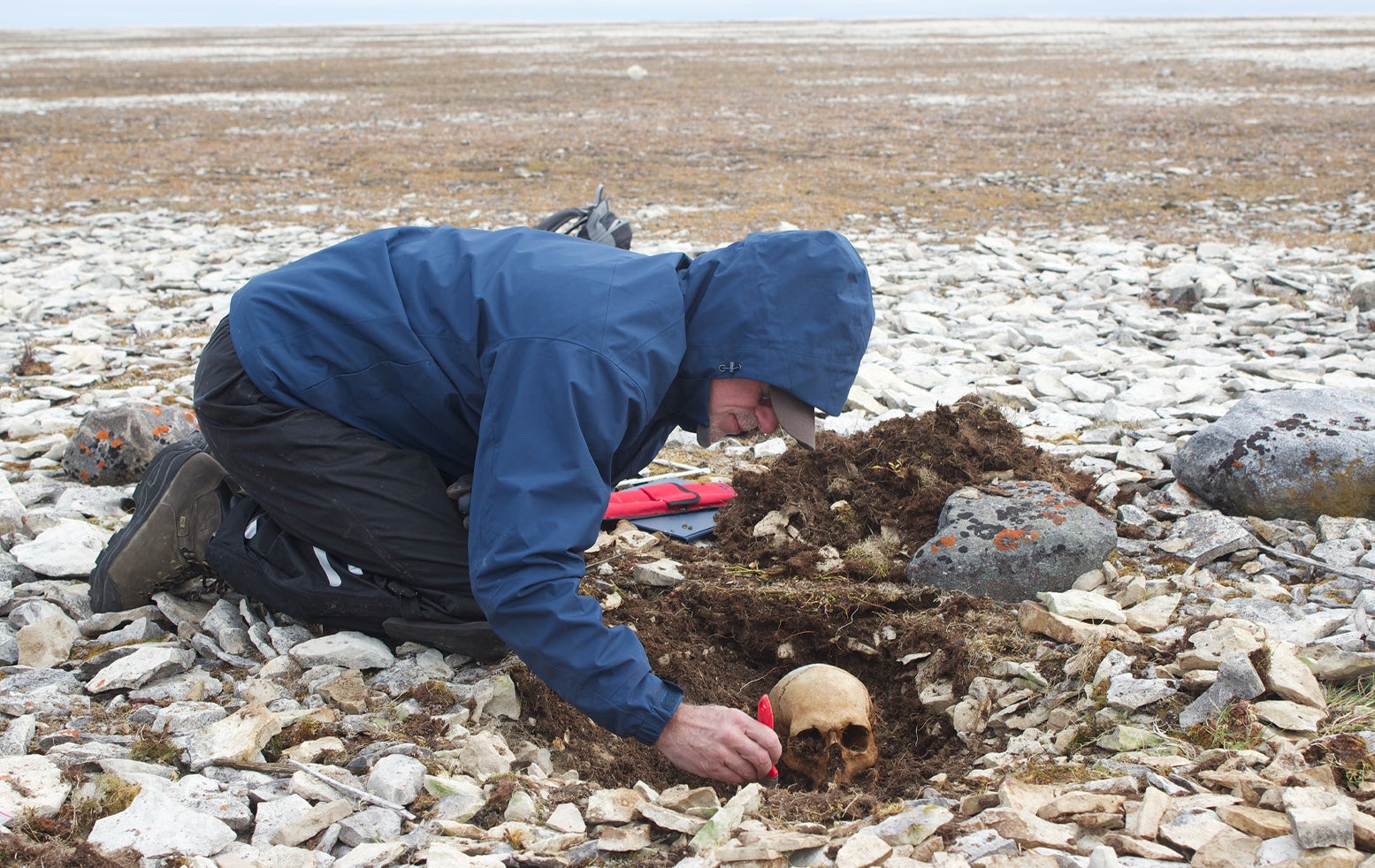 DNA matches identify four more sailors from Franklin expedition ...