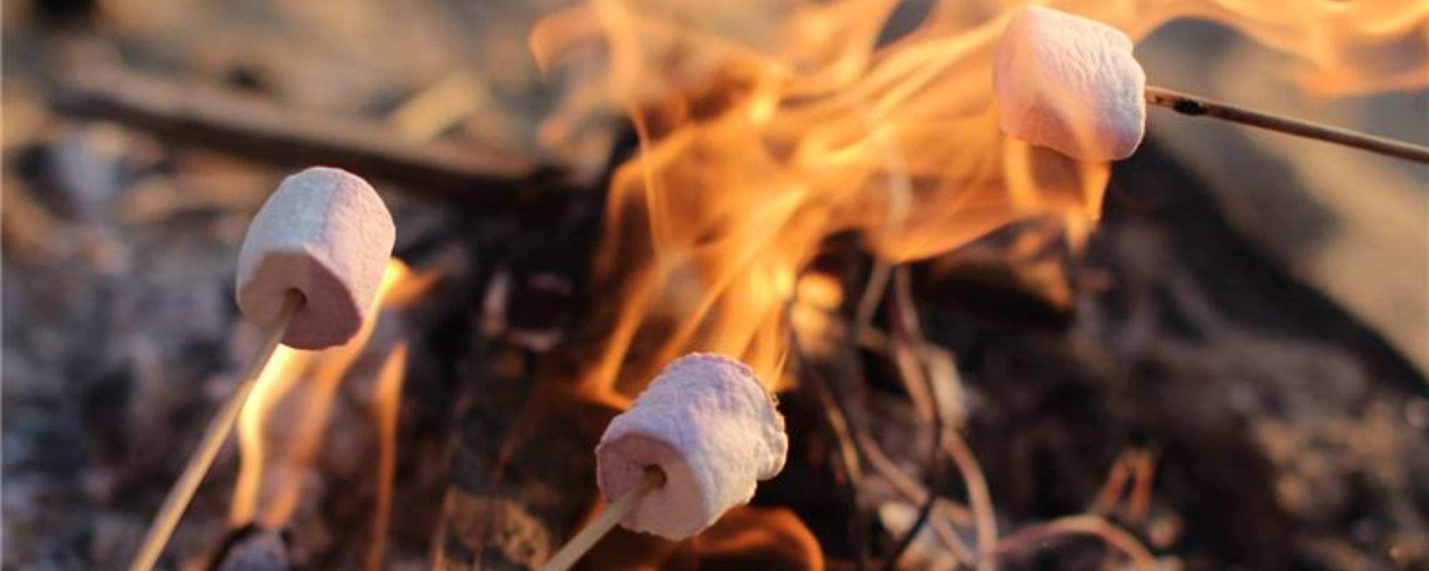 Postdoc and graduate student bonfire | Postdoctoral Scholars | University of Waterloo