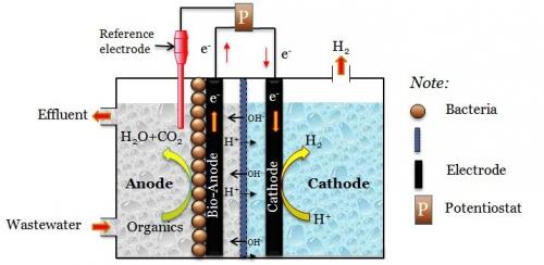 Microbial electrochemical cells | Dr. Hyung-Sool Lee | University of ...