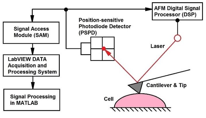 Experience | Scholar | University of Waterloo