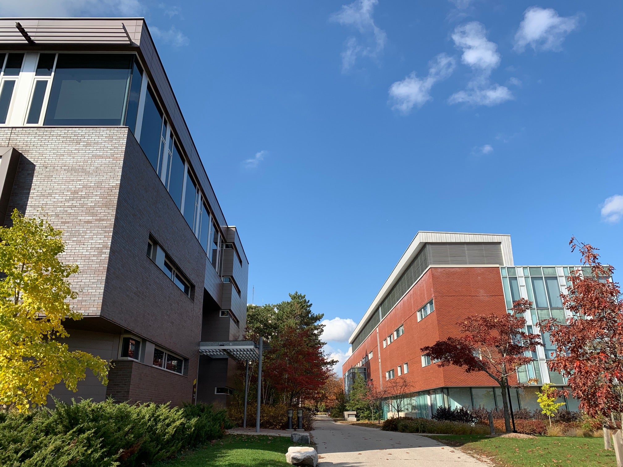 SAF Colouring Pages | School of Accounting and Finance | University of ...