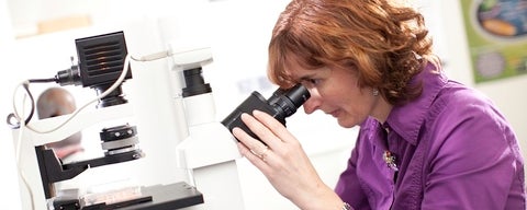 Welcome to Systems Design Engineering at the University of Waterloo ...