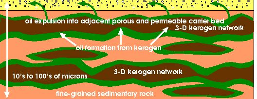 The formation of oil and other elements required to produce a petroleum ...