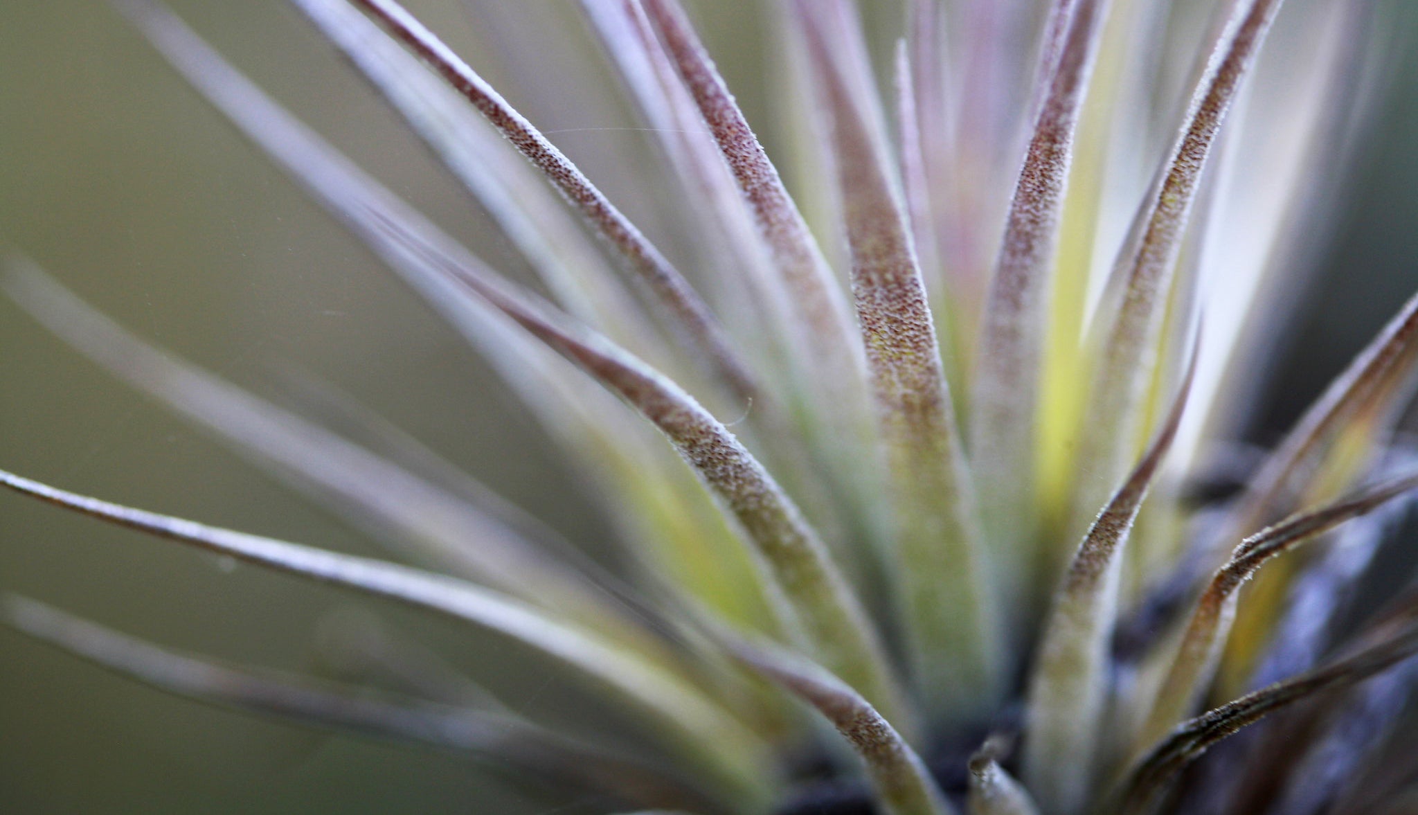 Designing sustainable water harvesting systems: What we can learn from ...