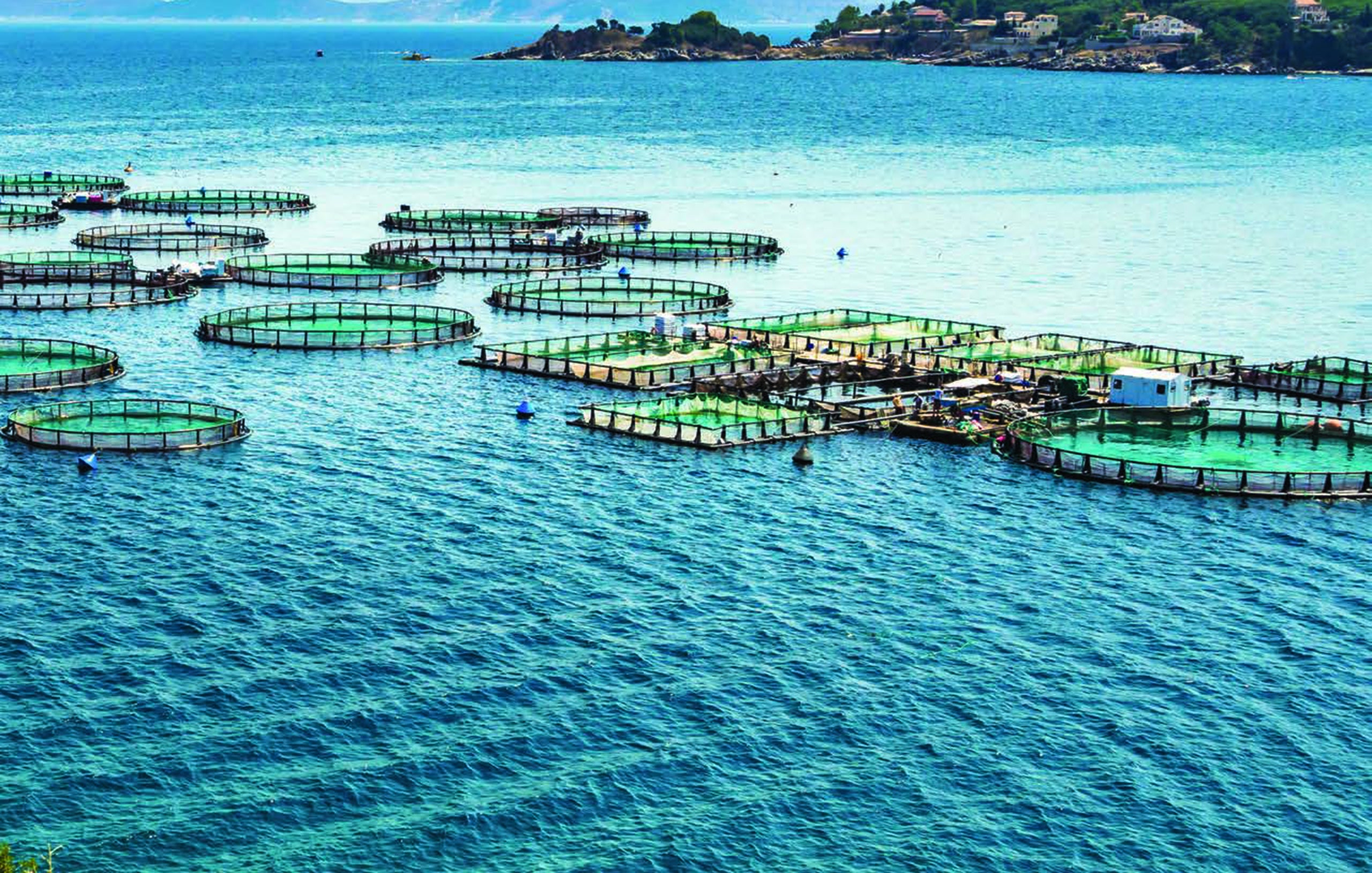 Managing competing interests in aquaculture development: Can conflict resolution modelling help ...
