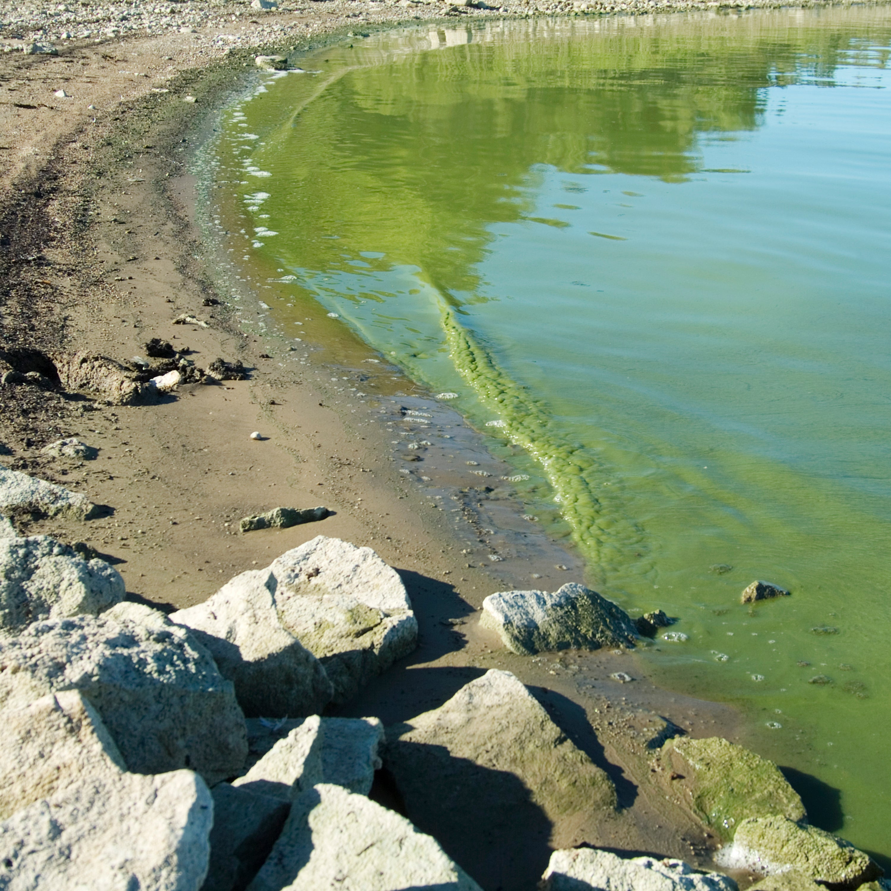 Land-use legacies create time lags to water quality improvements ...