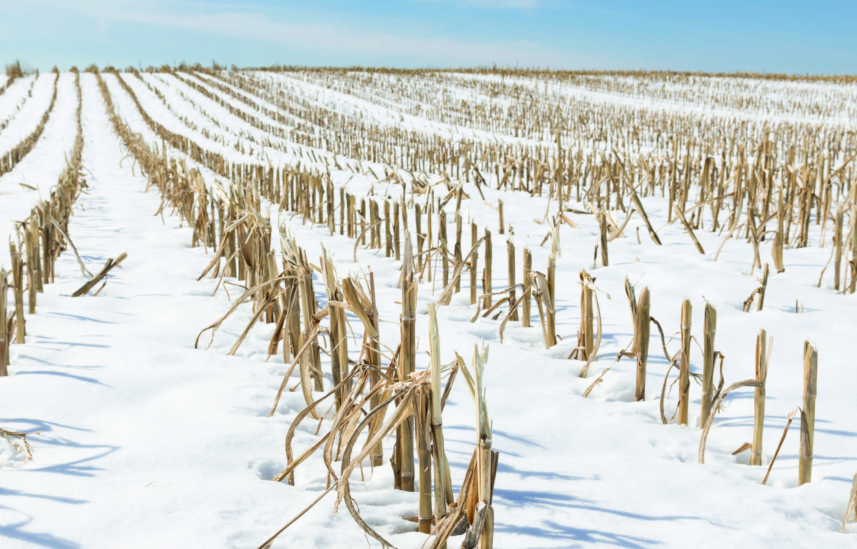 How to manage water quality in cold climate agricultural regions ...