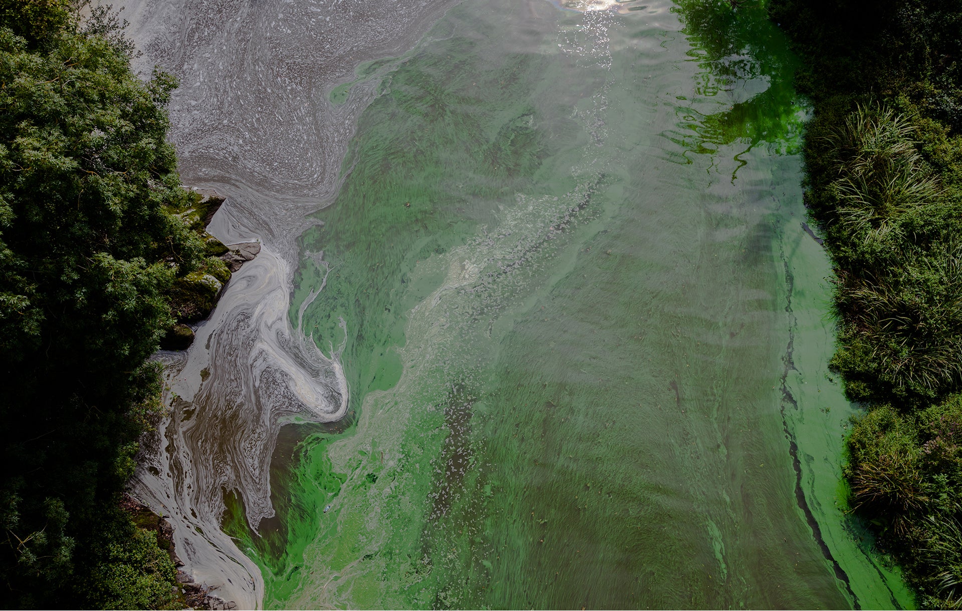 WaterResearch | Water Institute Research | University of Waterloo