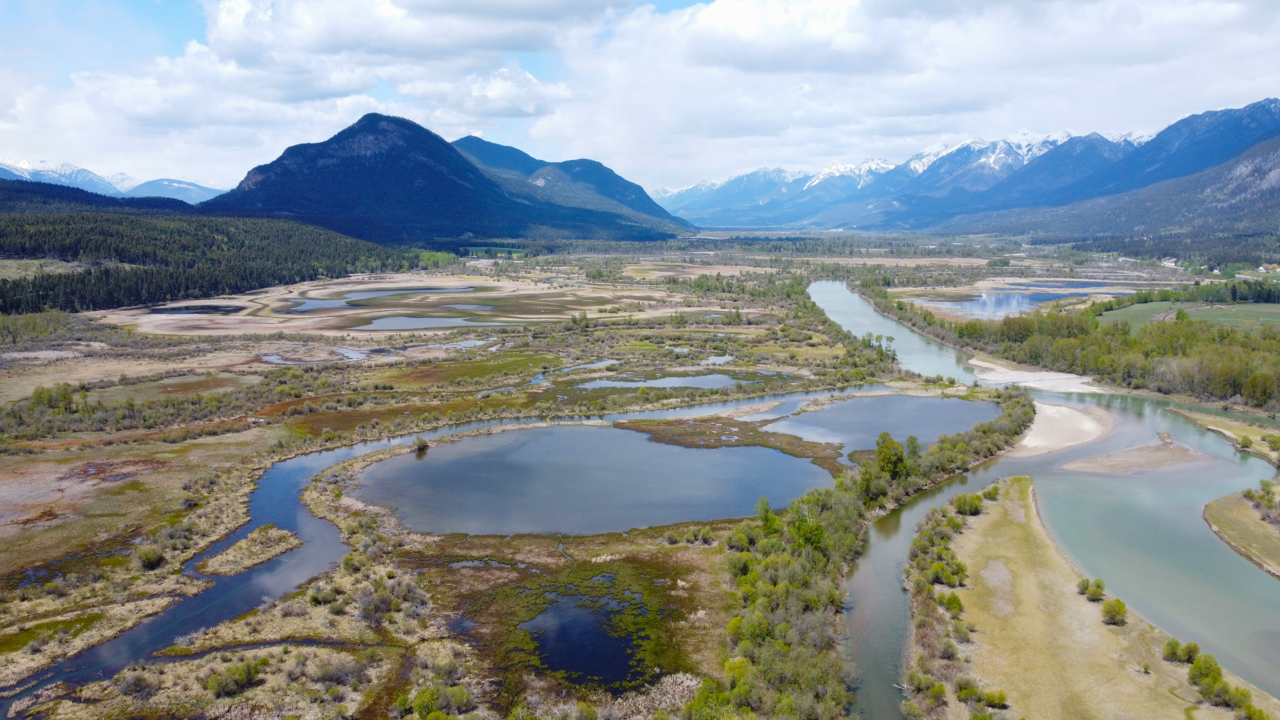 The Columbia River Wetlands | Water Institute Research | University of ...
