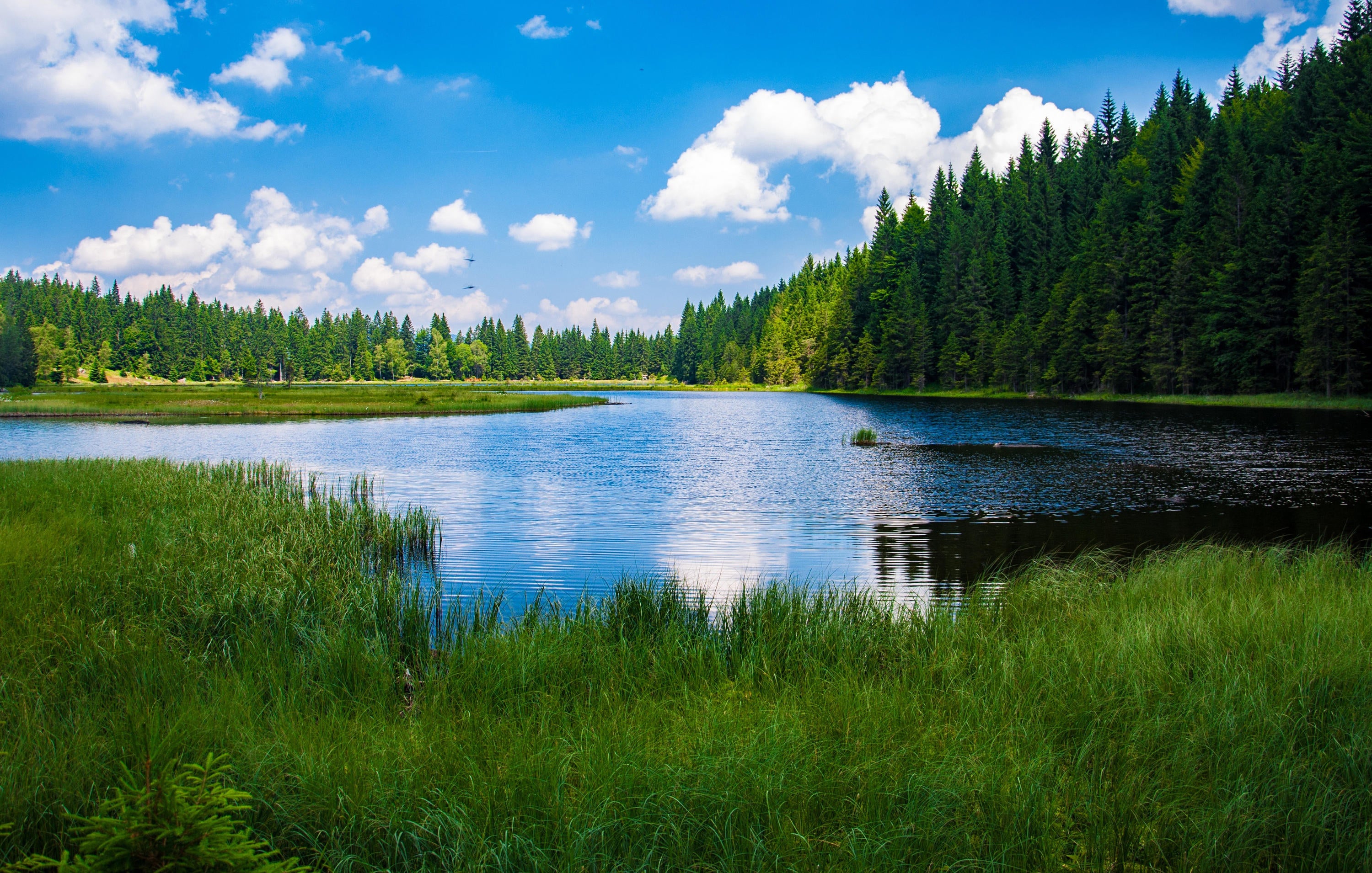 Opportunities for building climate resilience through watershed ...