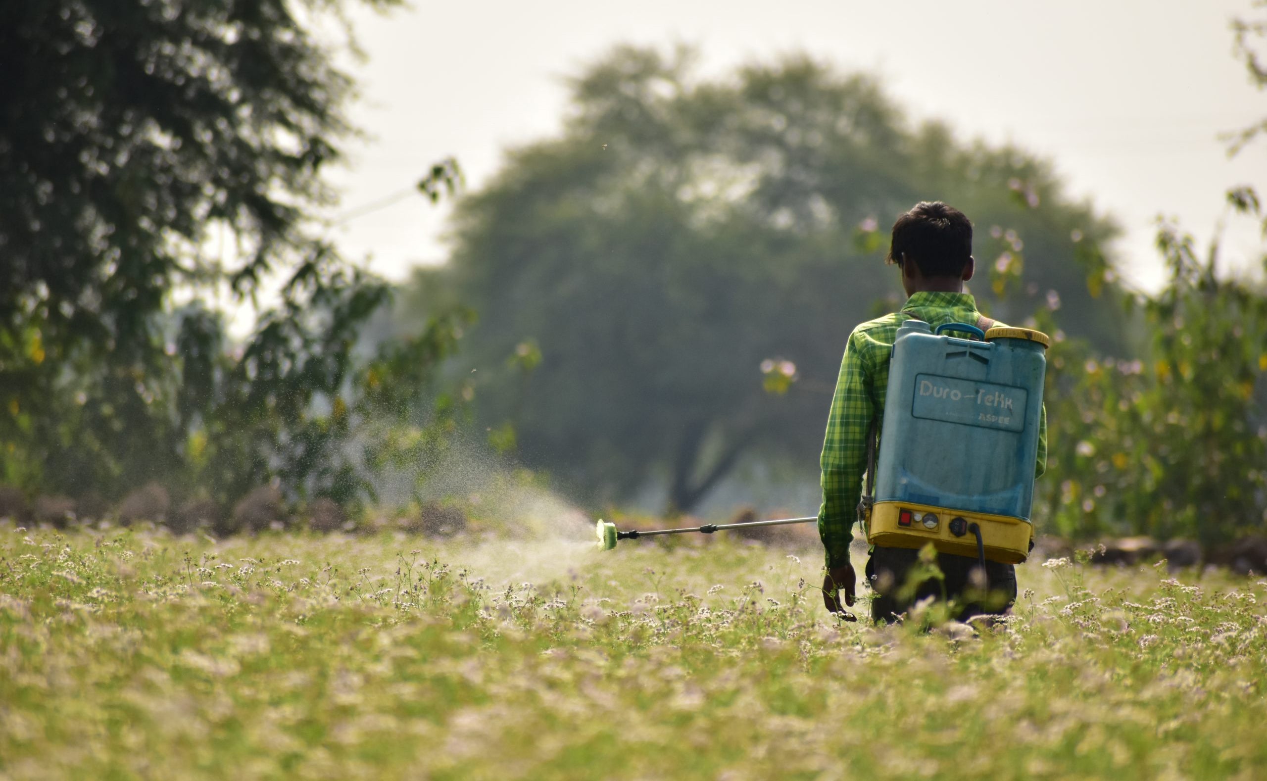 Paper-based analytical devices: A novel approach for the rapid ...