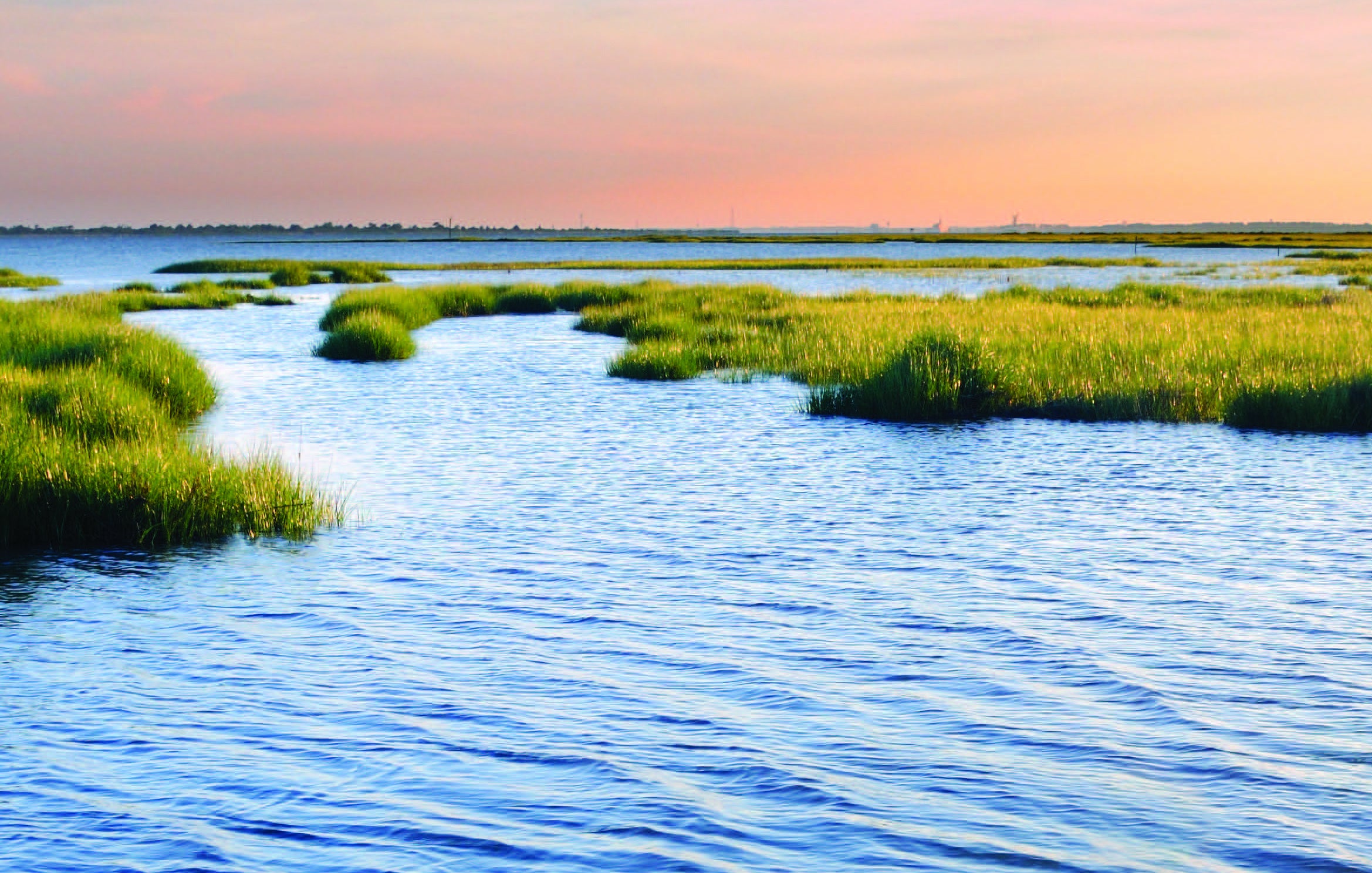 Understanding sea-land interactions through interdisciplinary research ...