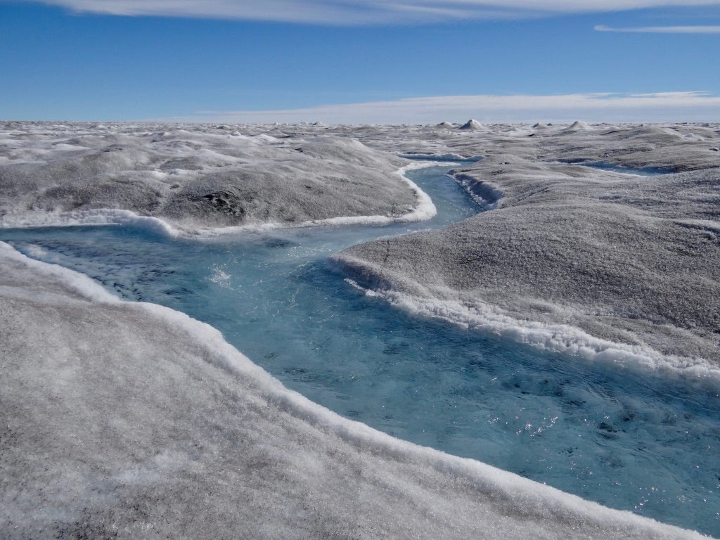 What controls glacier ice algal blooms? The role of phosphorus | Water ...