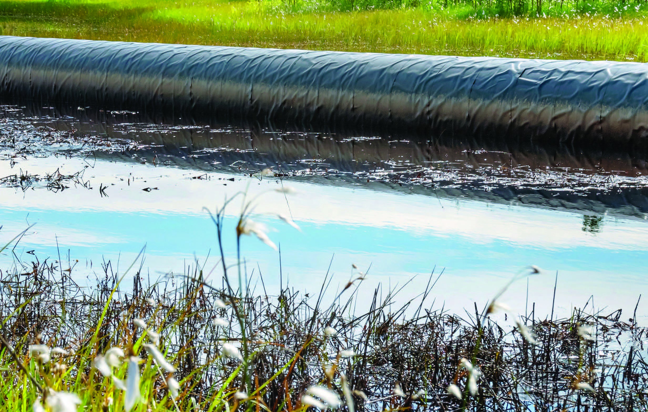 Managing hydrocarbon spills in peatlands: Should they stay, or should ...